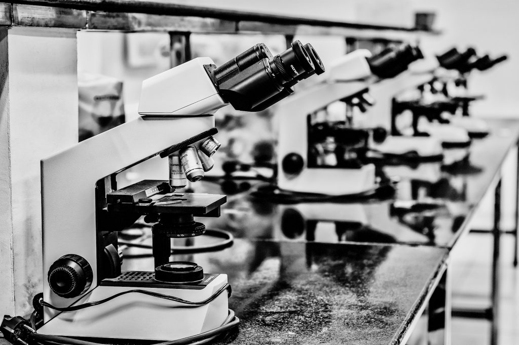 Our Work – Forensic Justice Project